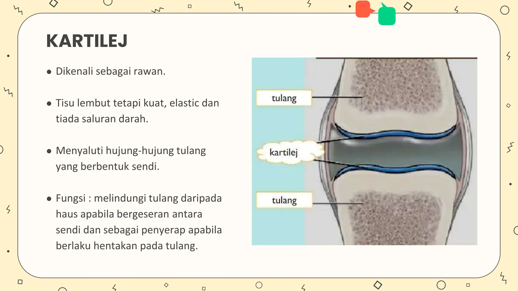 sistem rangka rangka bukan dan rangka.pptx