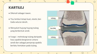 sistem rangka rangka bukan dan rangka.pptx