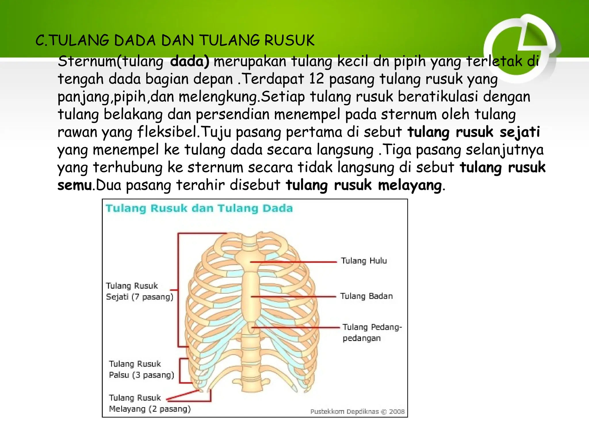 MATERI BIOLOGI_SISTEM RANGKA MANUSIA_PPT | PPTX