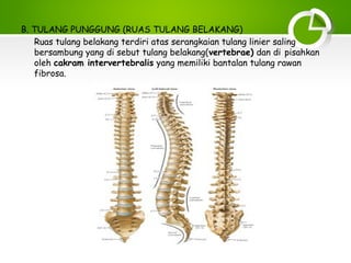 MATERI BIOLOGI_SISTEM RANGKA MANUSIA_PPT | PPTX