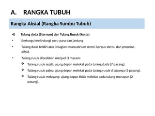 Sistem Rangka pada manusia_86poenya.pptx