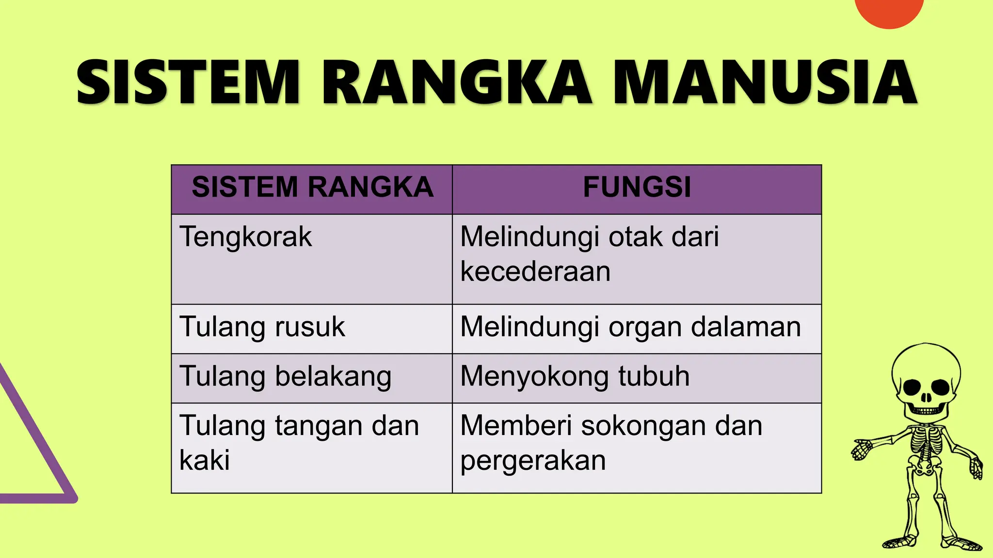 SISTEM RANGKA MANUSIA TAHUN 5 20241.pptx
