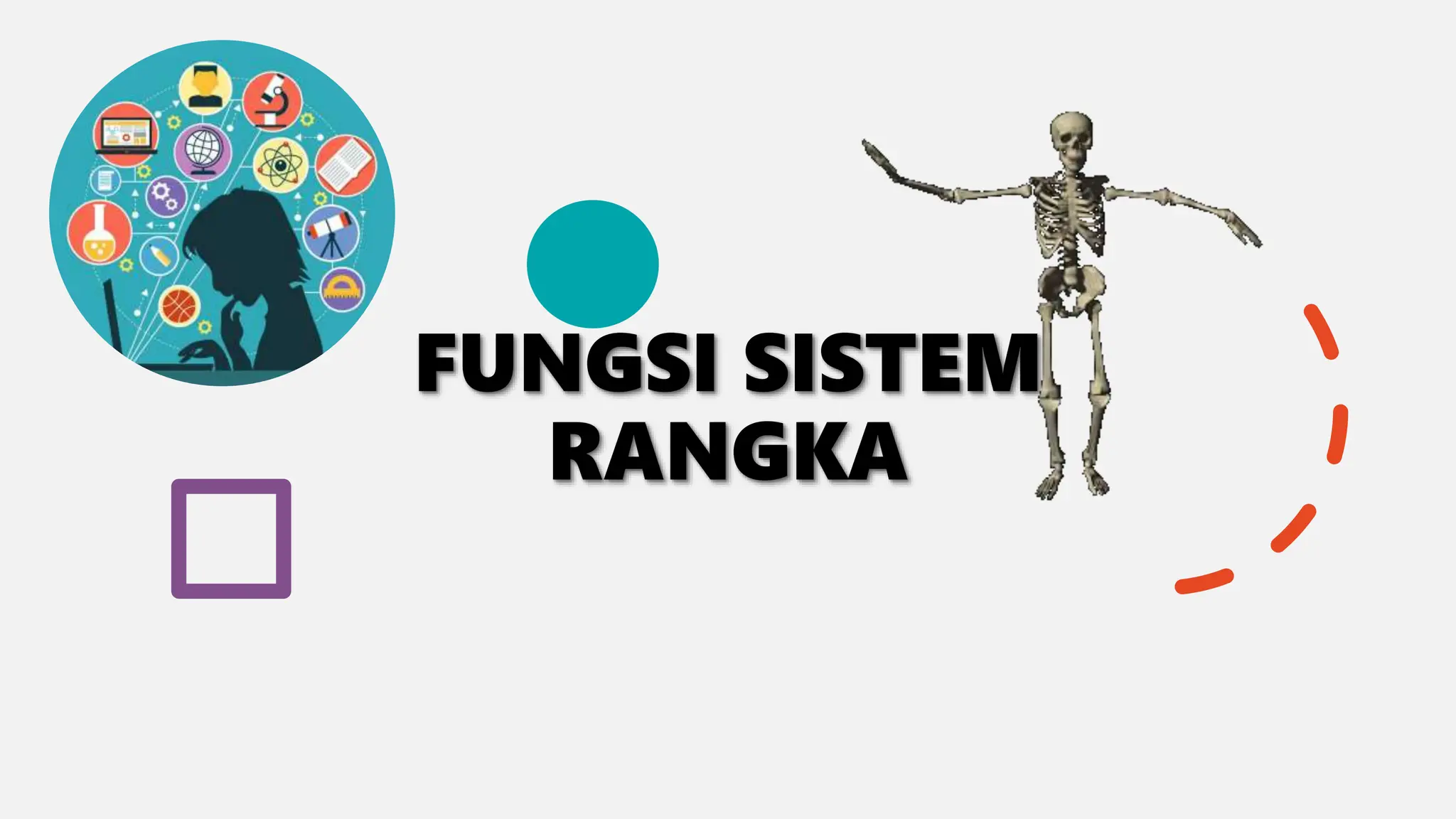 SISTEM RANGKA MANUSIA TAHUN 5 20241.pptx