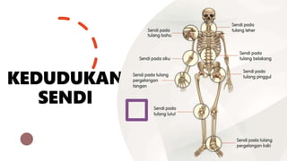 SISTEM RANGKA MANUSIA TAHUN 5 20241.pptx