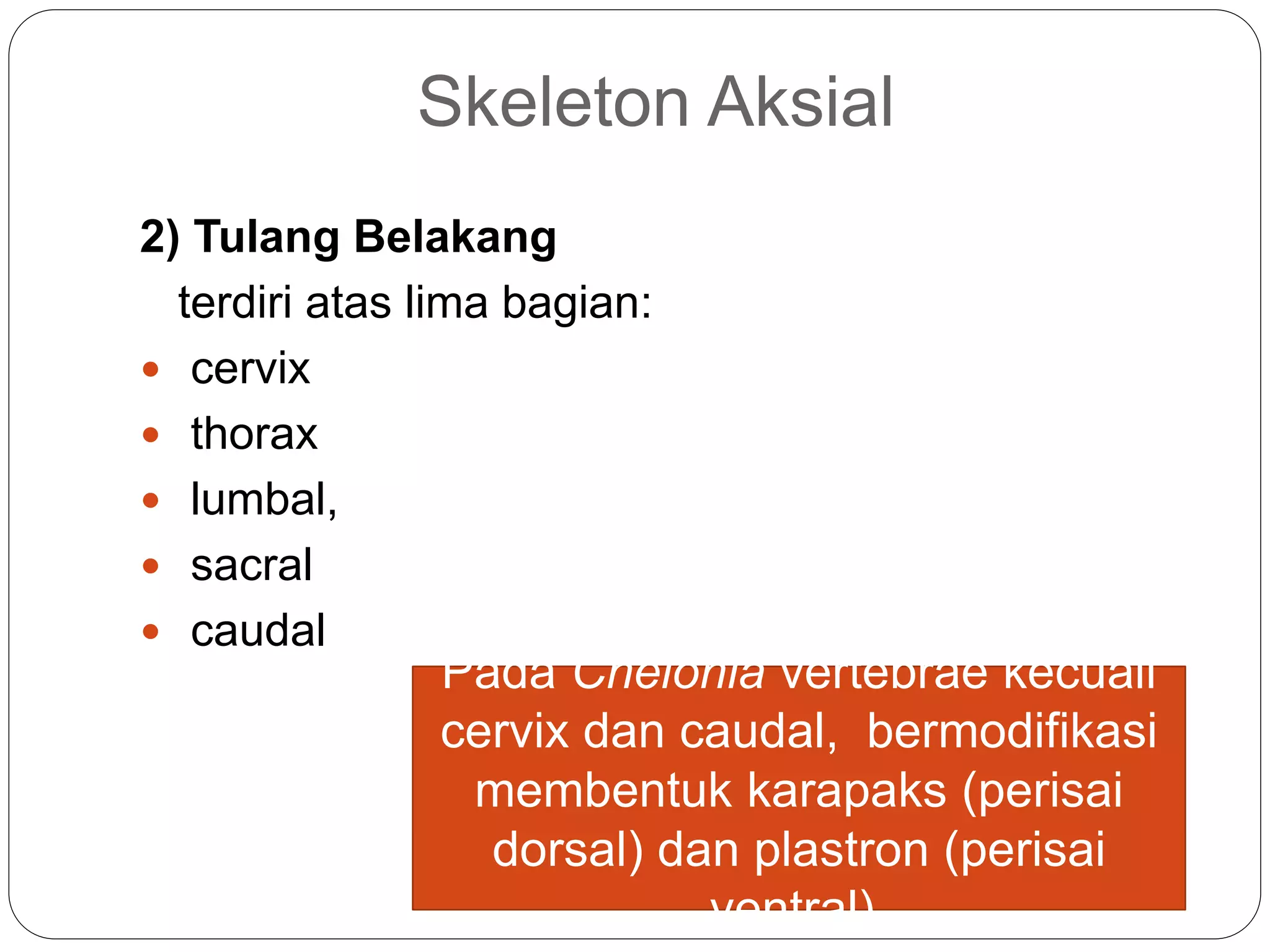 SISTEM RANGKA PADA REPTIL.pptx