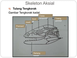 SISTEM RANGKA PADA REPTIL.pptx