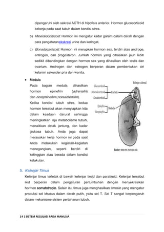 Sistem regulasi pada manusia | DOCX