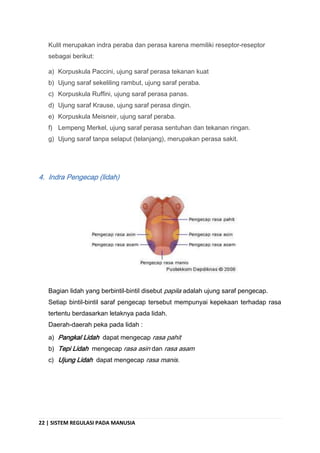 Sistem regulasi pada manusia | DOCX