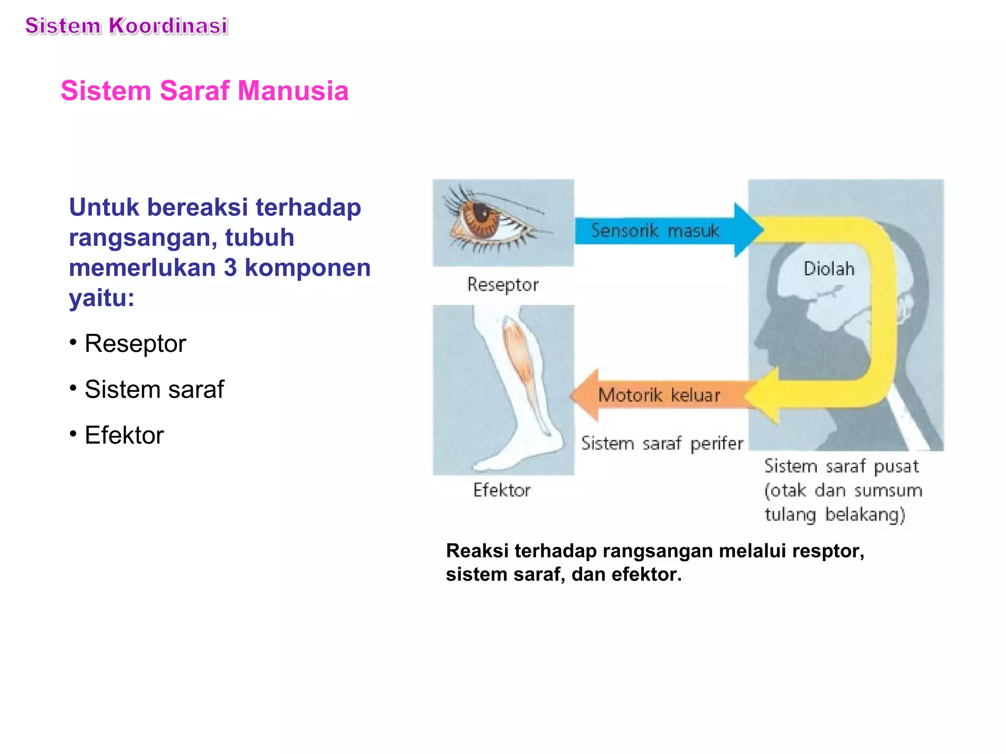 Sistem Regulasi | PPT