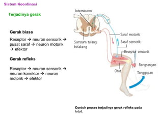 SISTEM REGULASI TOTAL | PPT