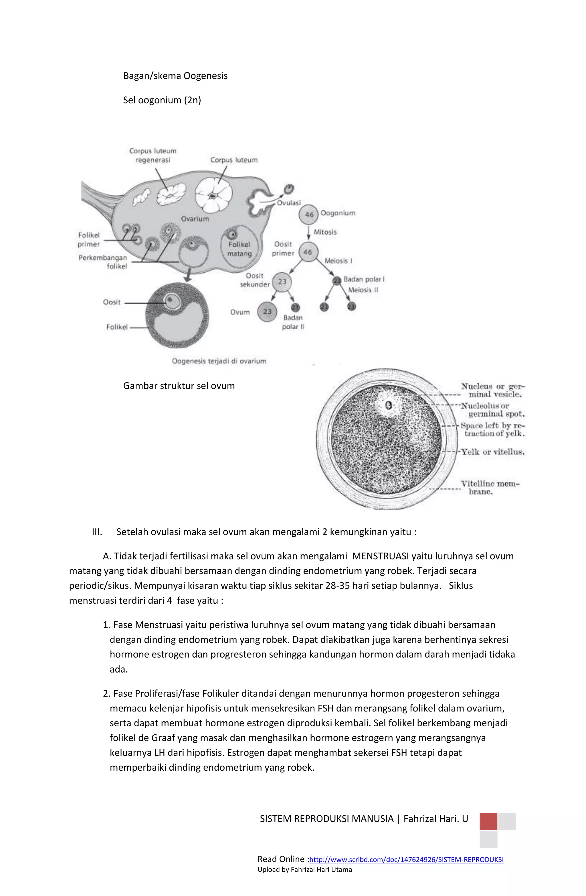 BIOLOGI Sistem reproduksi | PDF