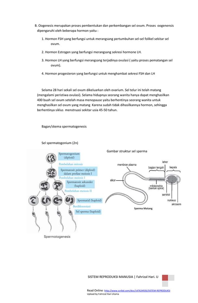 BIOLOGI Sistem reproduksi | PDF