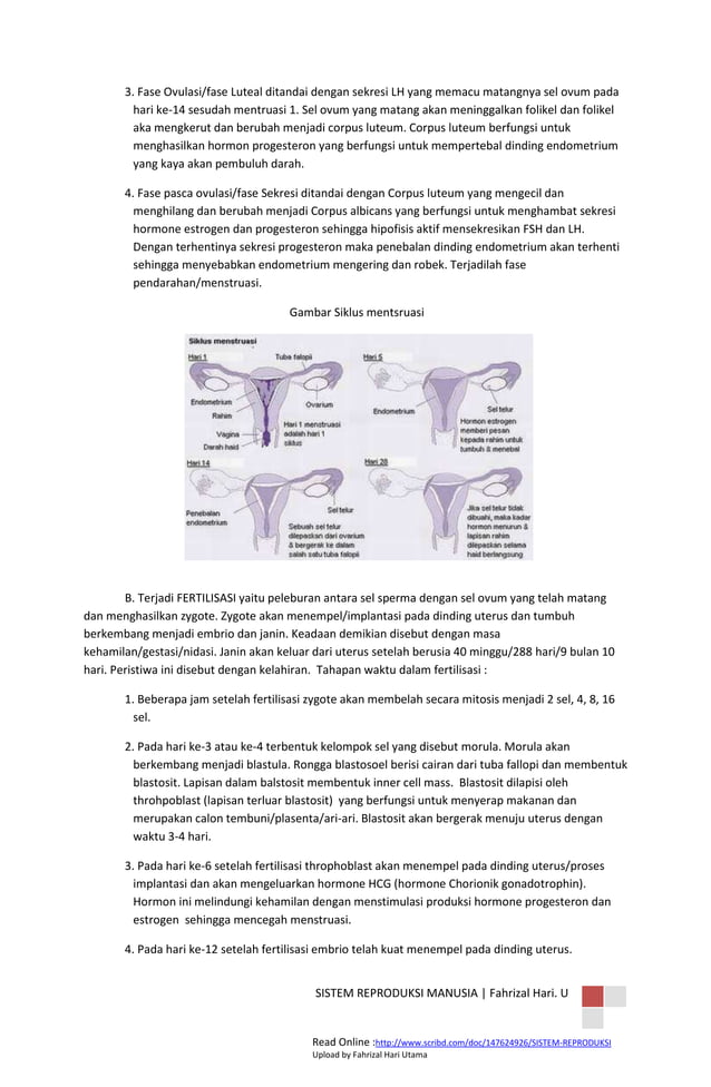 BIOLOGI Sistem reproduksi | PDF