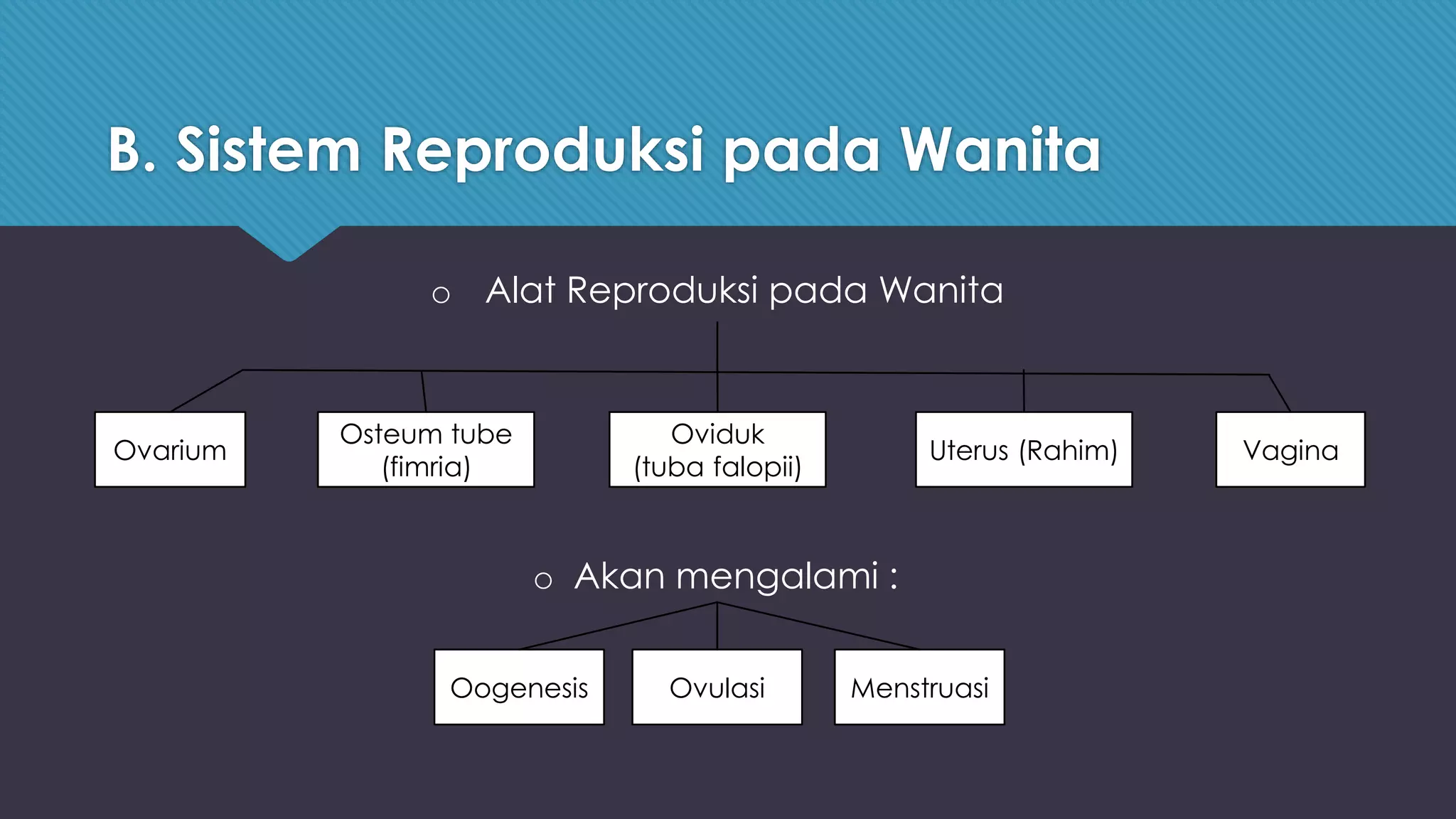 Biologi Kelas 9 - Sistem Reproduksi pada Manusia | PPTX
