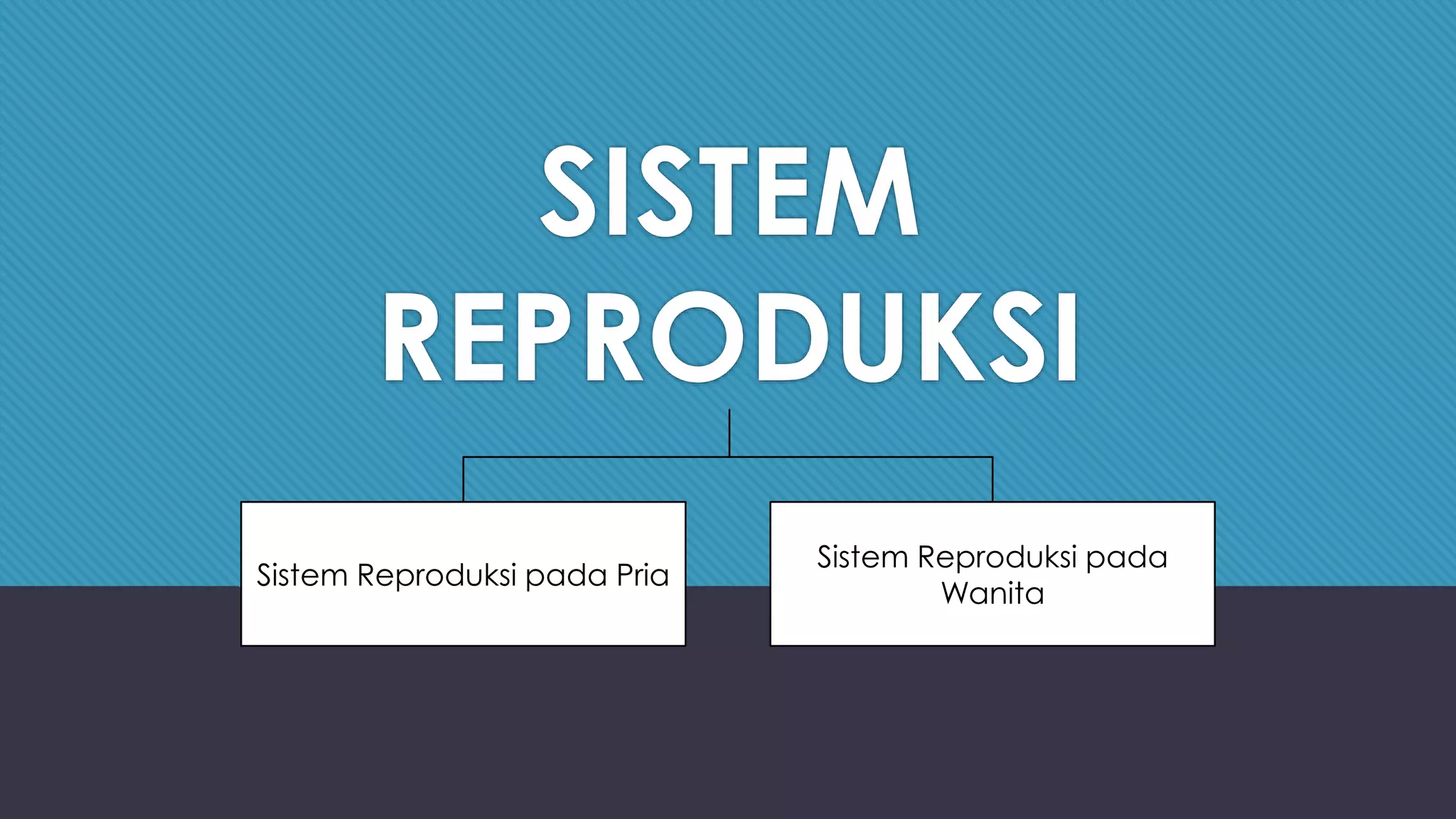 Biologi Kelas 9 - Sistem Reproduksi pada Manusia | PPTX