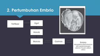 Biologi Kelas 9 - Sistem Reproduksi pada Manusia | PPTX
