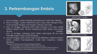 Biologi Kelas 9 - Sistem Reproduksi pada Manusia | PPTX