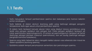 Biologi Kelas 9 - Sistem Reproduksi pada Manusia | PPTX