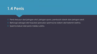 Biologi Kelas 9 - Sistem Reproduksi pada Manusia | PPTX