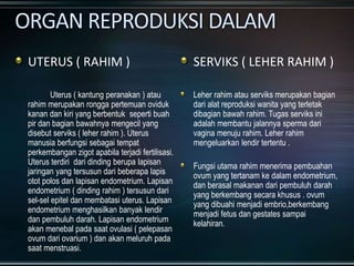 Sistem reproduksi | PPT