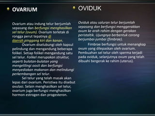 Sistem reproduksi | PPT