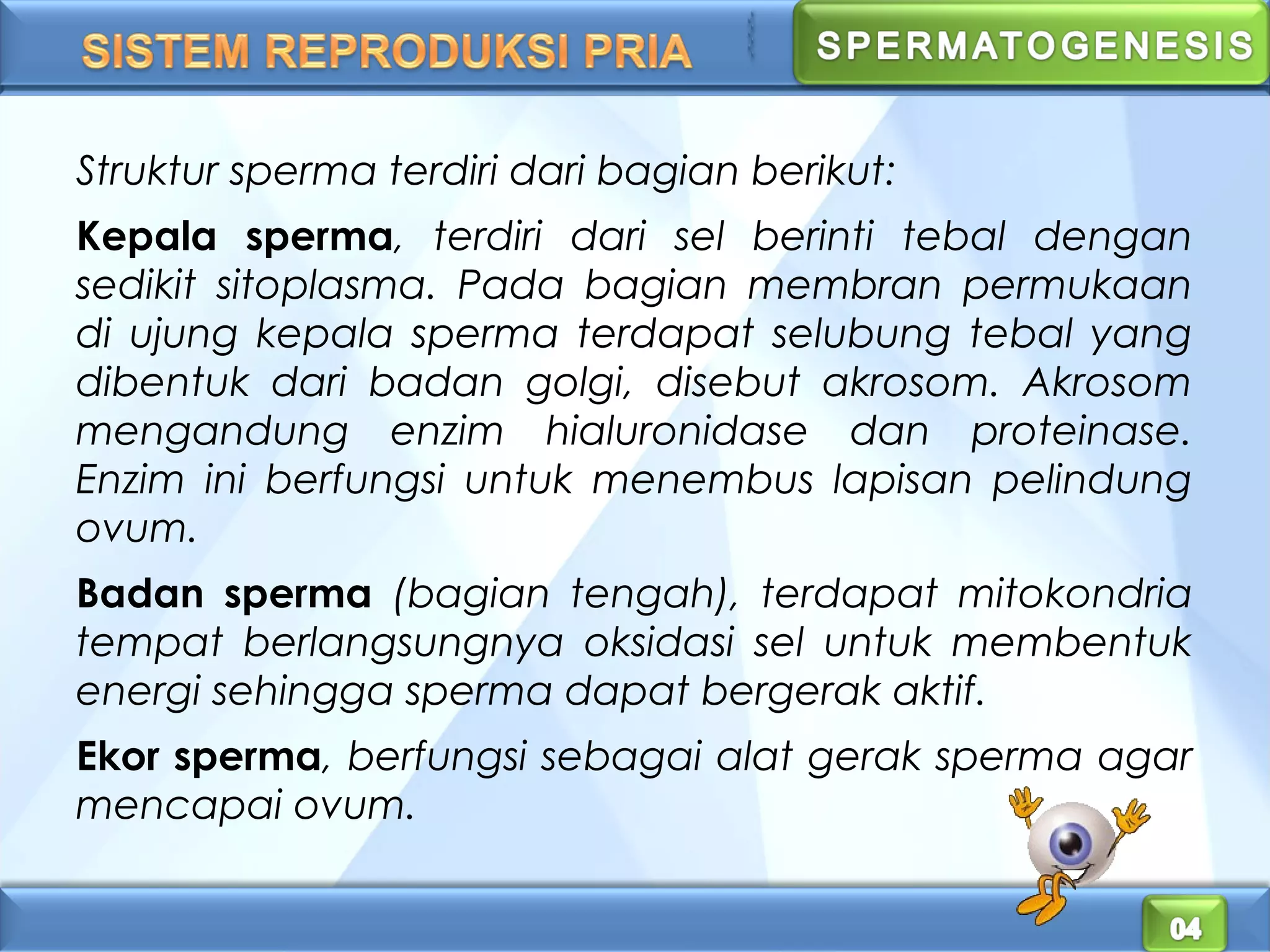 Sistem reproduksi | PPT