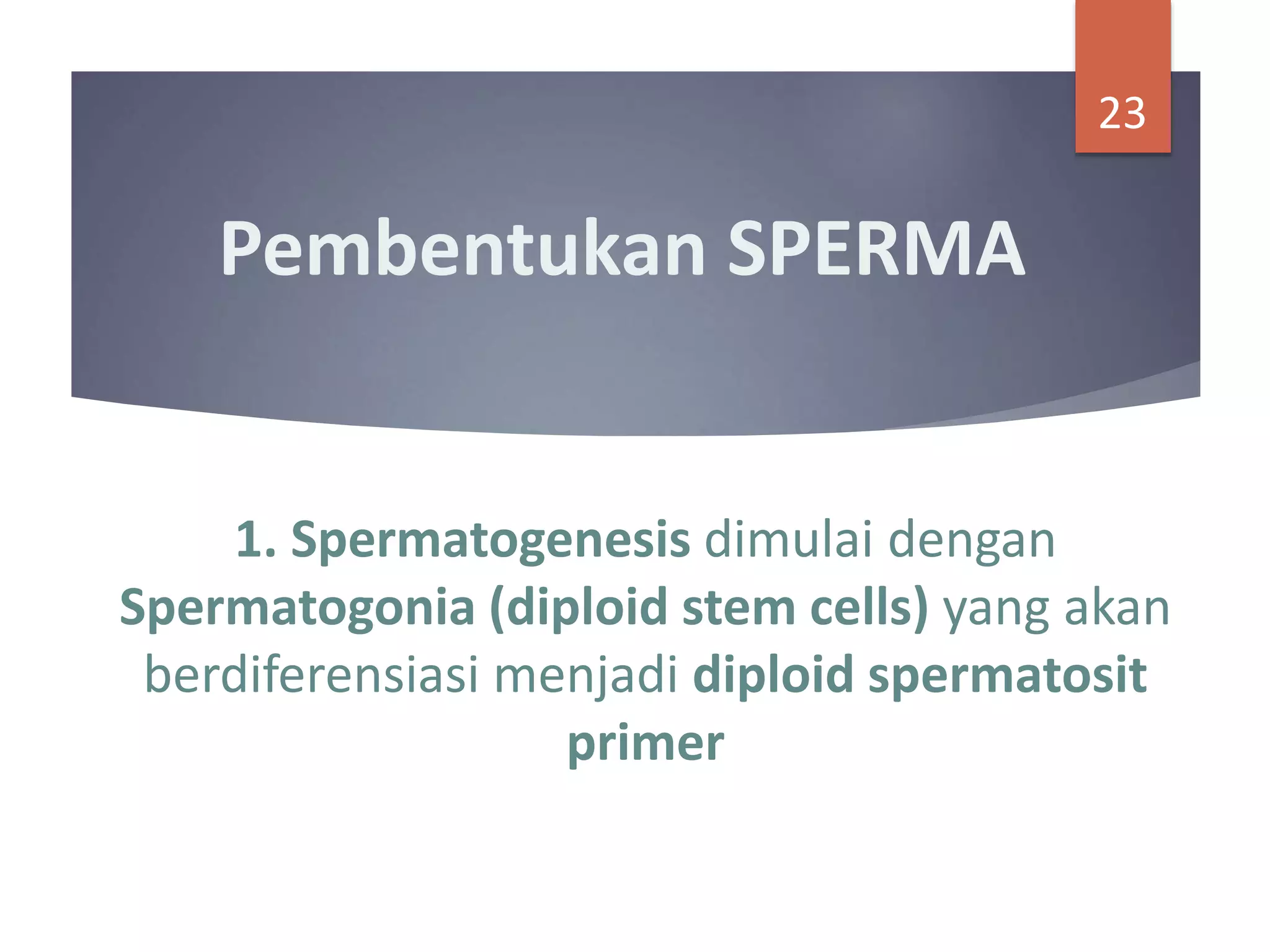 Anatomi dan Fisiologi Sistem reproduksi | PPTX