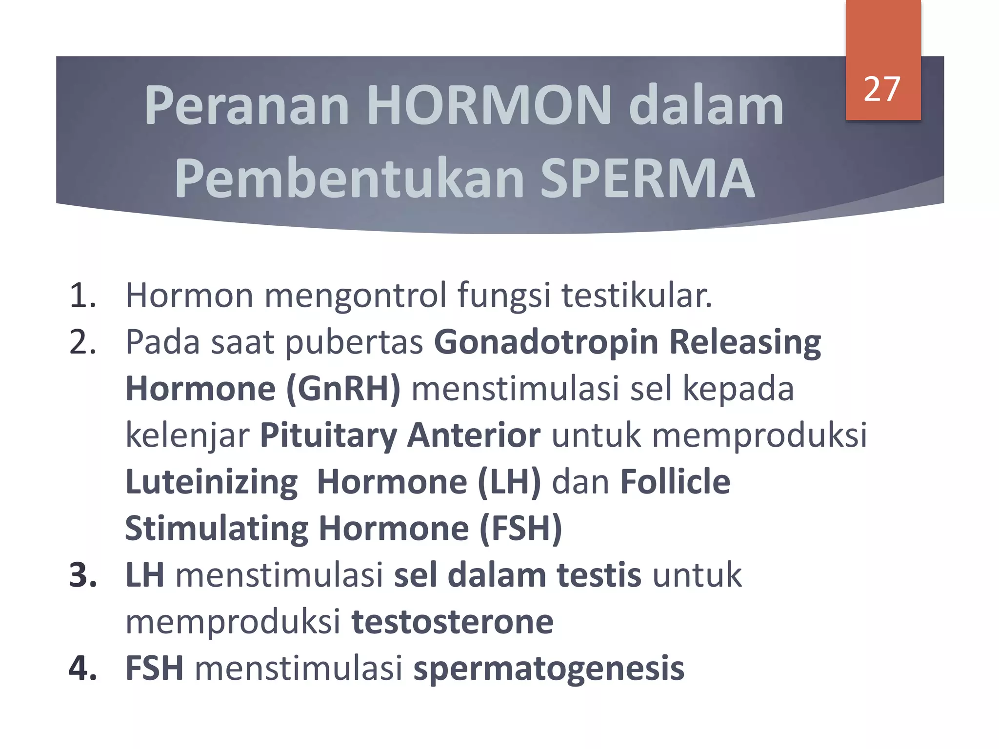 Anatomi dan Fisiologi Sistem reproduksi | PPTX