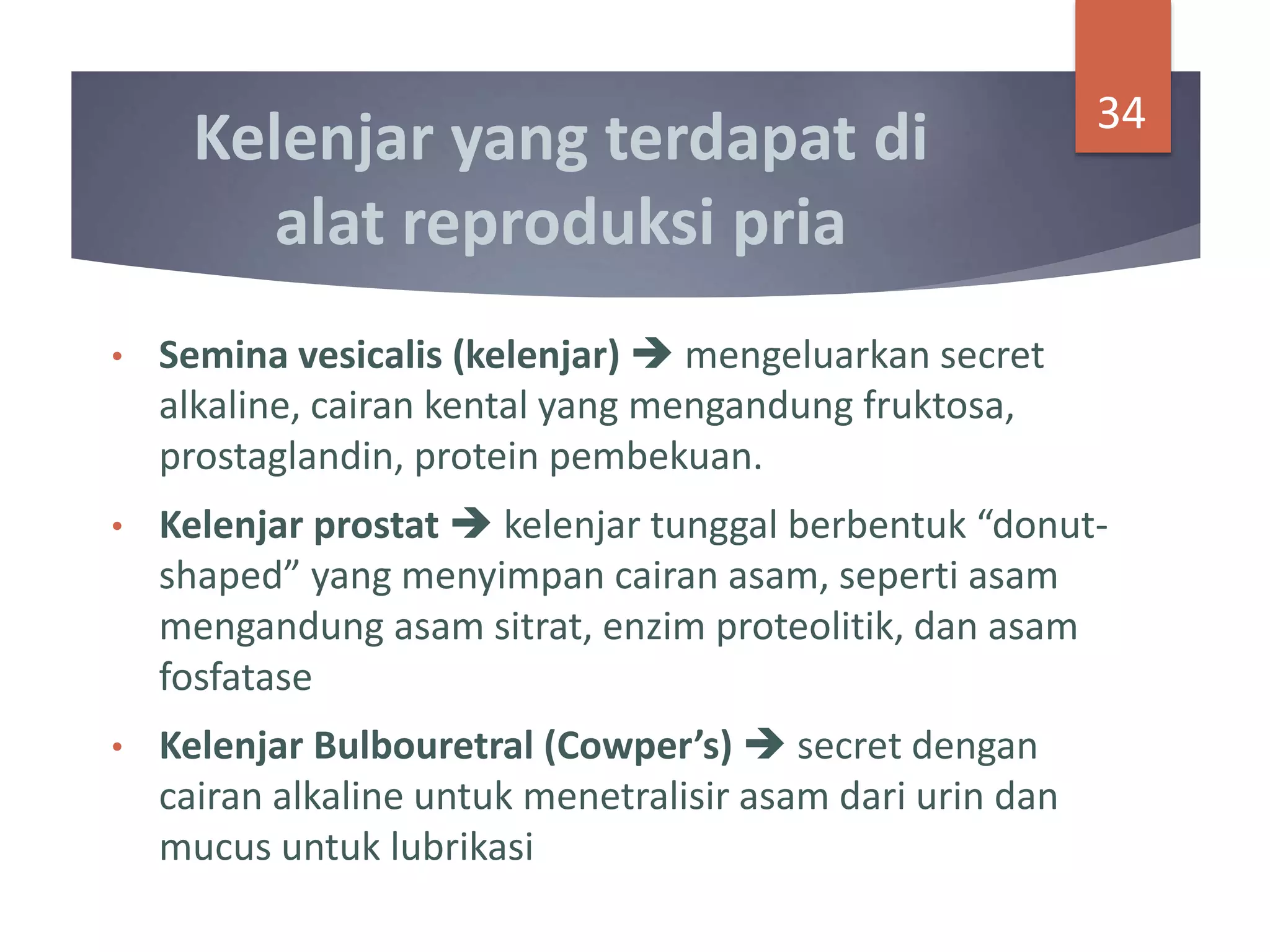 Anatomi dan Fisiologi Sistem reproduksi | PPTX