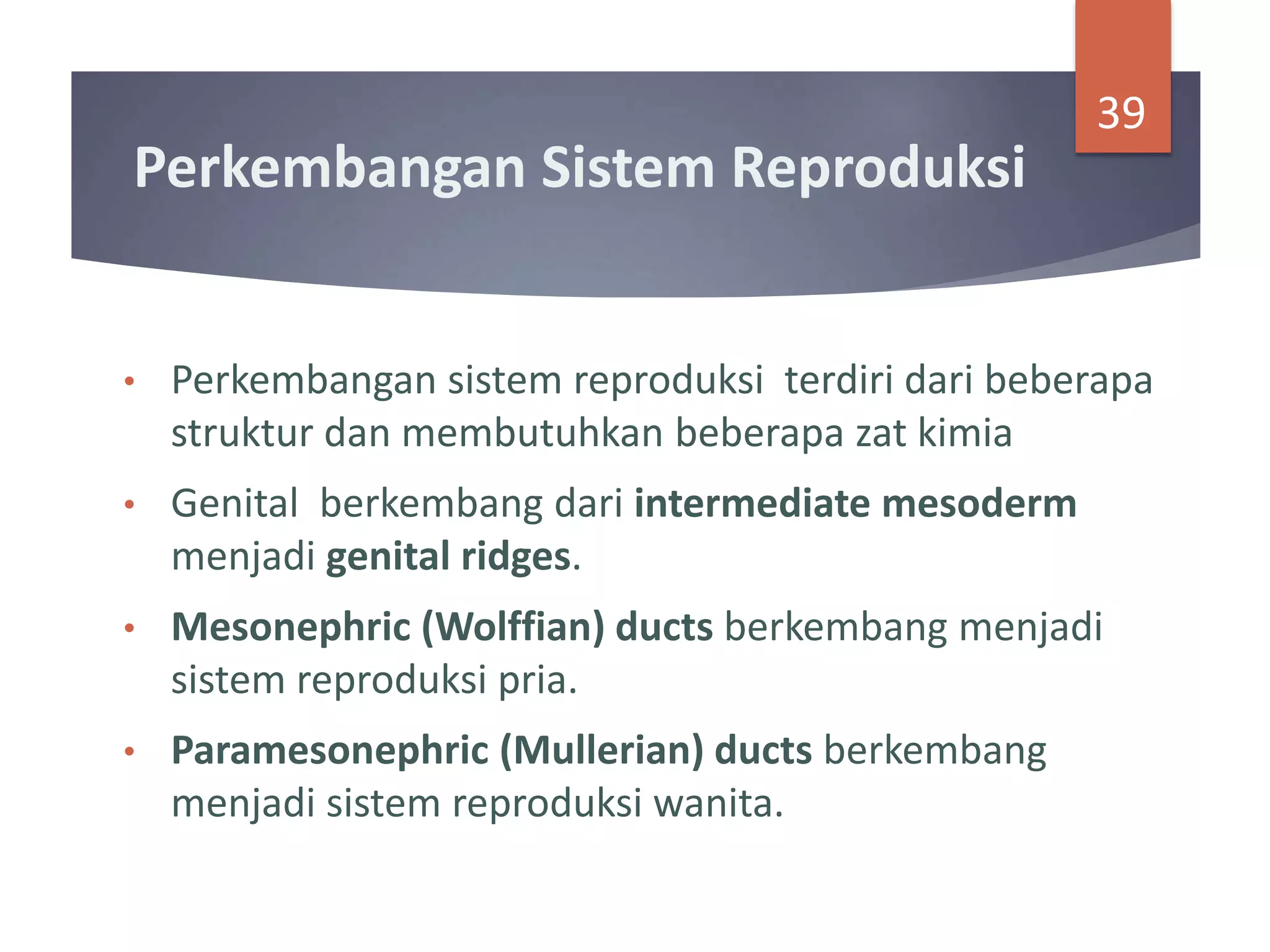 Anatomi dan Fisiologi Sistem reproduksi | PPTX