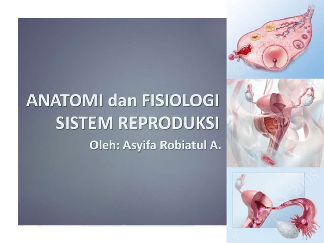 Anatomi dan Fisiologi Sistem reproduksi | PPTX