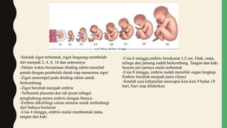Sistem Reproduksi.pptx