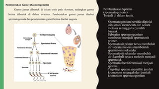Sistem Reproduksi.pptx