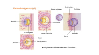 SISTEM REPRODUKSI.pptx