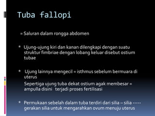 Sistem reproduksi mata kuliah biologi manusia | PDF