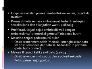 Sistem reproduksi mata kuliah biologi manusia | PDF