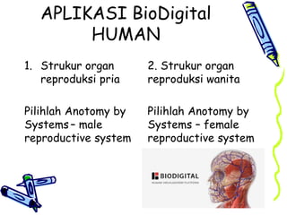 SISTEM REPRODUKSI PADA MANUSIA KELAS XI. | PPT