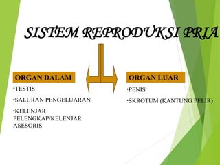Sistem Reproduksi.ppt................... | PPT