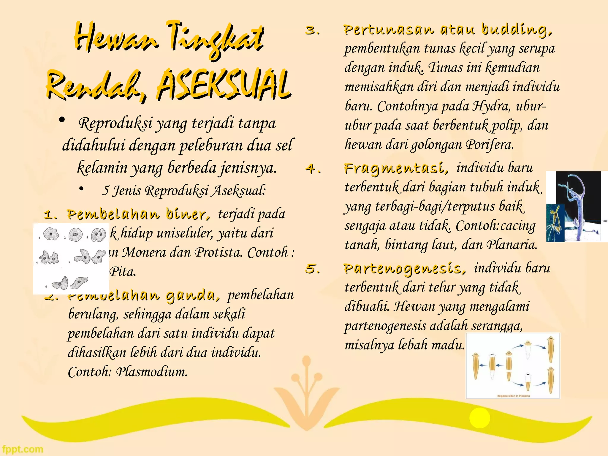 Sistem reproduksi - SMA | PPT