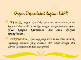 Sistem reproduksi - SMA | PPT