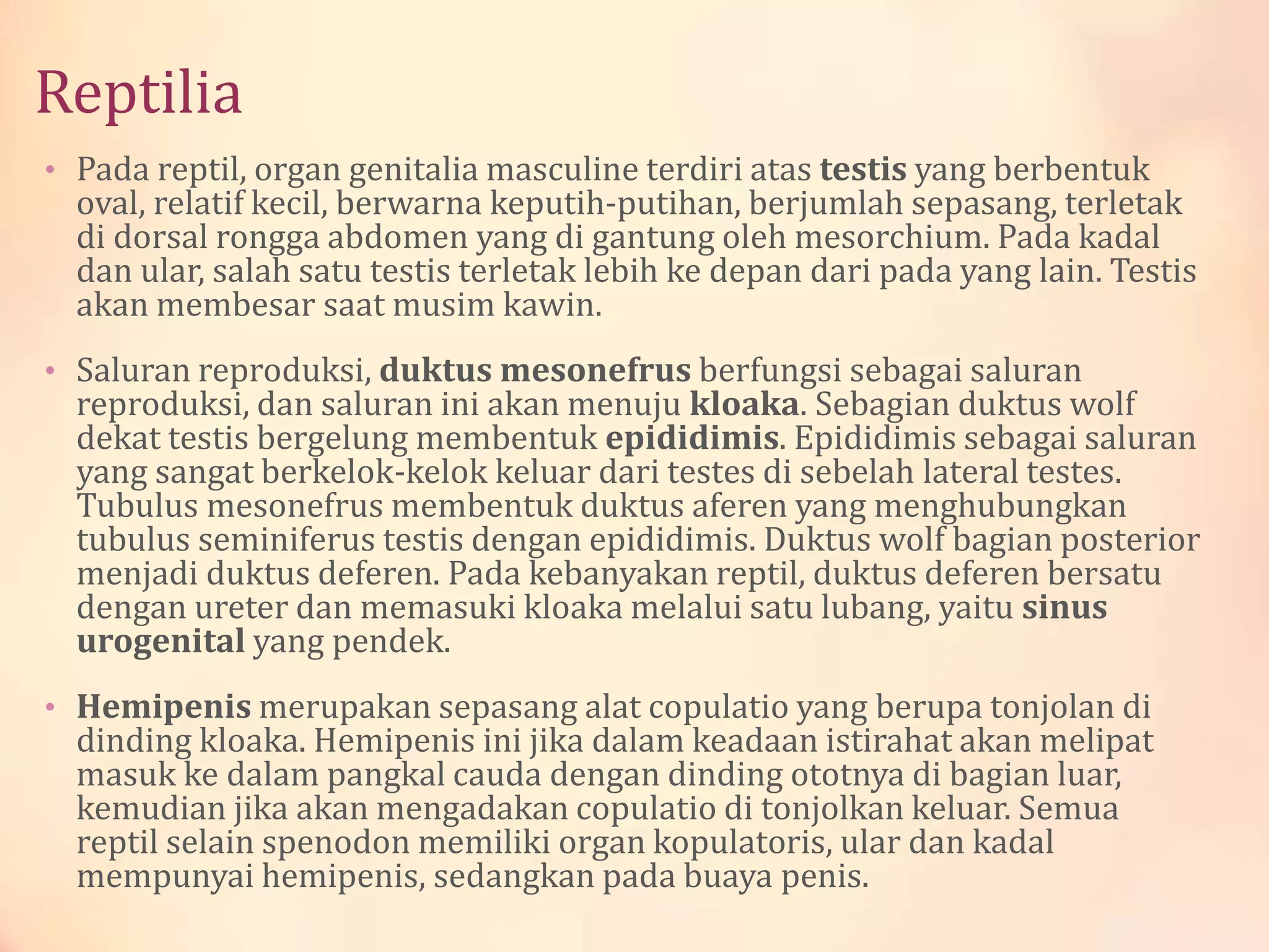 Sistem reproduksi | PPTX