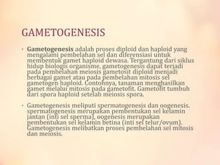 Sistem reproduksi | PPTX