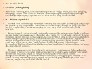 Sistem reproduksi | PPTX