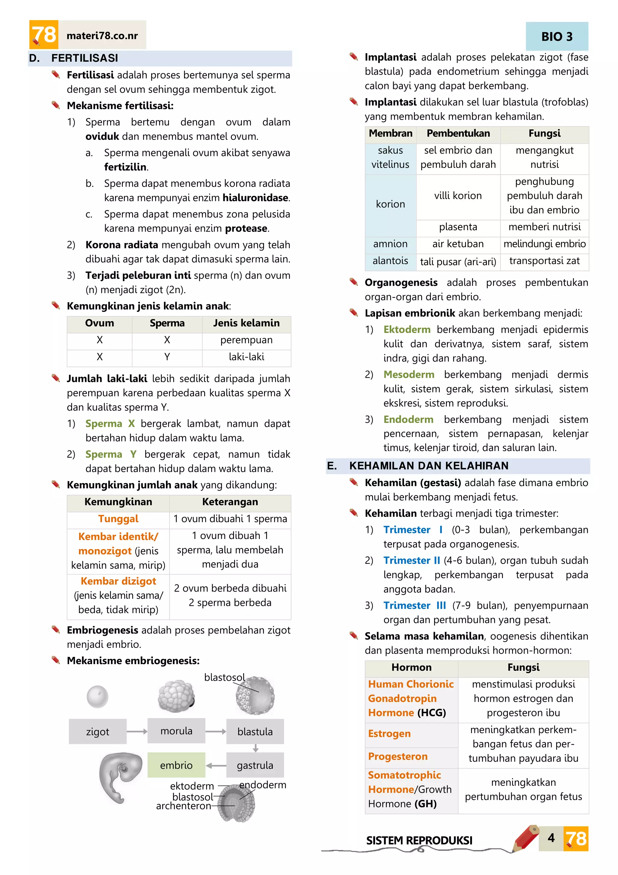 MATERI Sistem reproduksi KELAS XI SMA | PDF