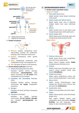 MATERI Sistem reproduksi KELAS XI SMA | PDF