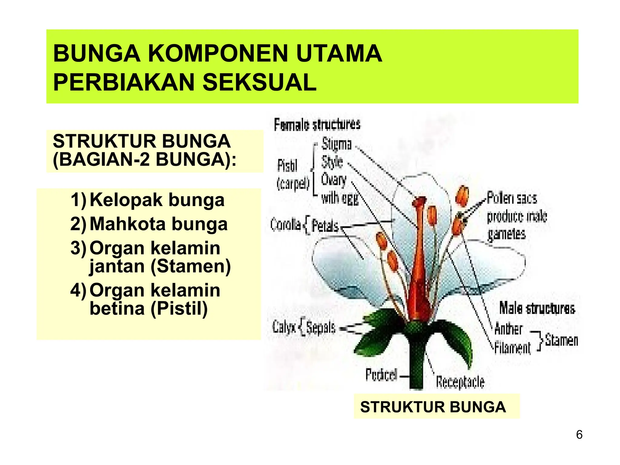 SISTEM REPRODUKSI DAN STRUKTUR GENETIK POPULASI TANAMAN.ppt