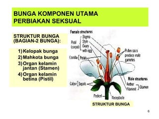 SISTEM REPRODUKSI DAN STRUKTUR GENETIK POPULASI TANAMAN.ppt