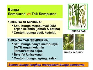 SISTEM REPRODUKSI DAN STRUKTUR GENETIK POPULASI TANAMAN.ppt