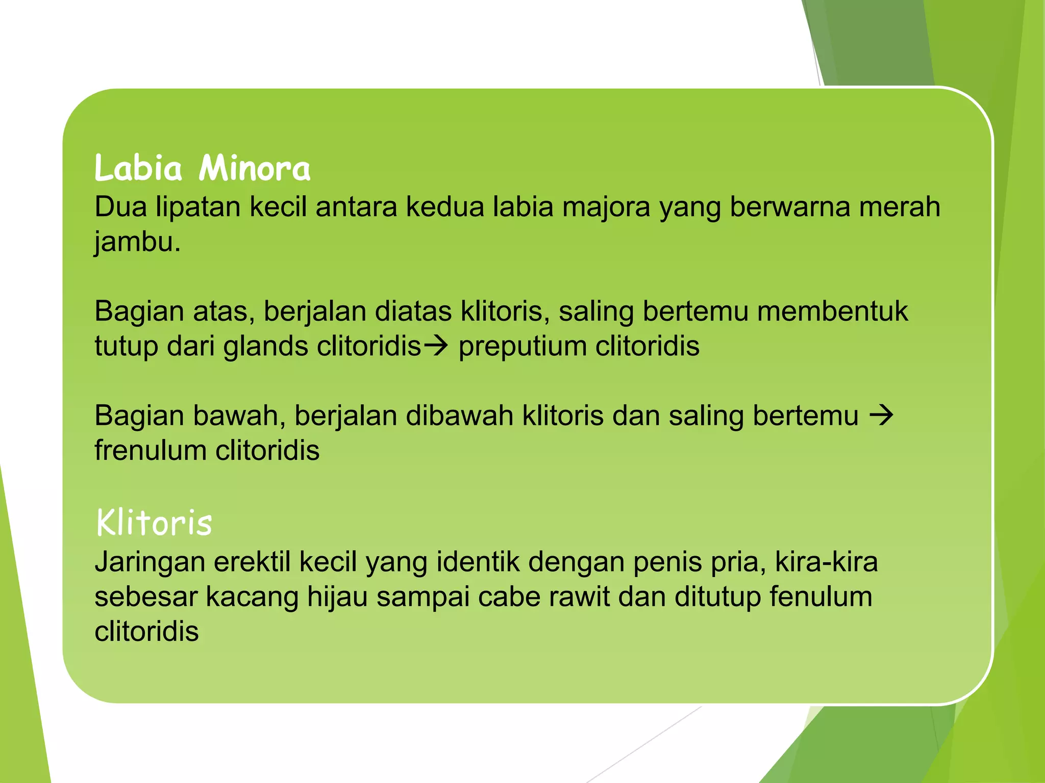 Sistem Reproduksi Dila (1).pptx