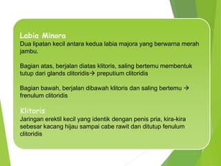 Sistem Reproduksi Dila (1).pptx